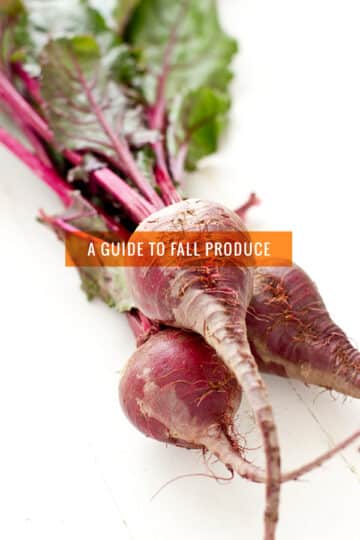 A Guide to Fall Produce | Cooking Seasonal Meals | Oh My Veggies