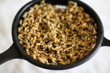 How to Sprout Grains - A Guide from Oh My Veggies!