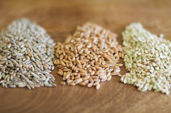 How to Sprout Grains - A Guide from Oh My Veggies!