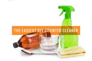 The Easiest DIY Kitchen Counter Cleaner - Oh My Veggies