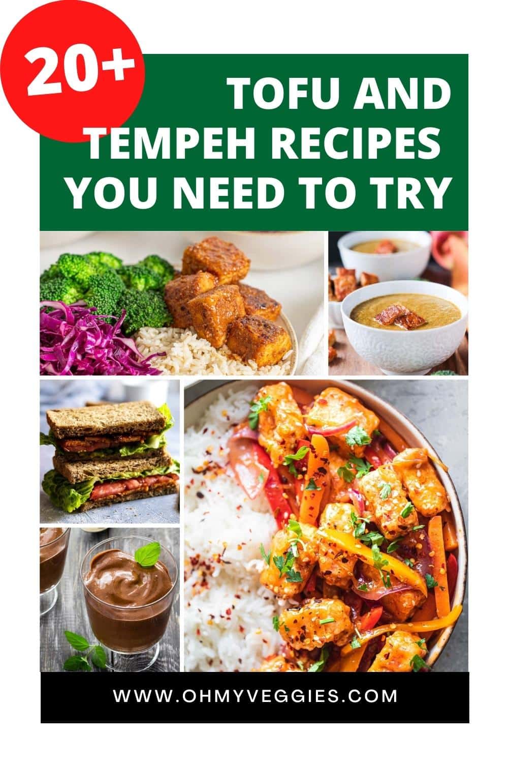 20+ Exciting Tofu and Tempeh Recipes You Need to Try - Oh My Veggies