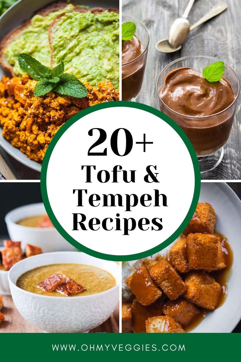 20+ Exciting Tofu and Tempeh Recipes You Need to Try - Oh My Veggies