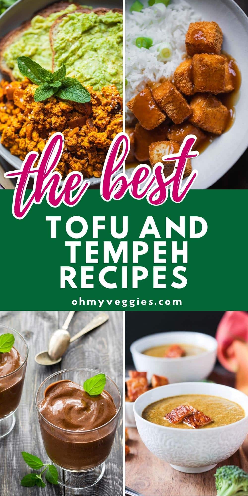 20+ Exciting Tofu and Tempeh Recipes You Need to Try - Oh My Veggies