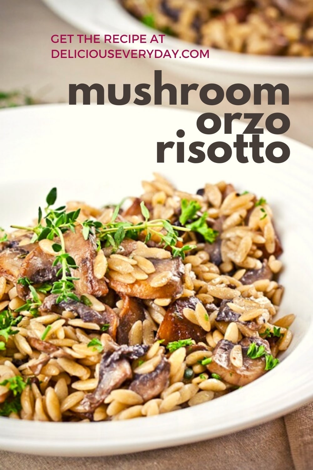 Mushroom Risoniotto (orzo risotto) - Oh My Veggies