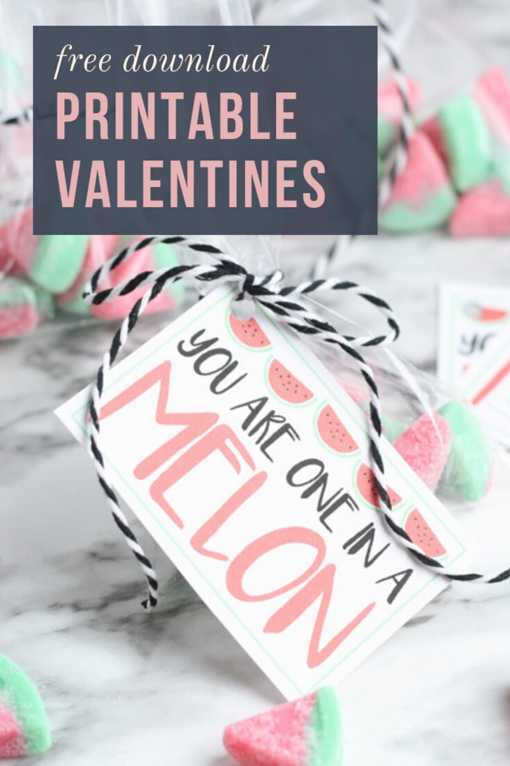 DIY Printable Valentines with Watermelon Candies - Oh My Veggies