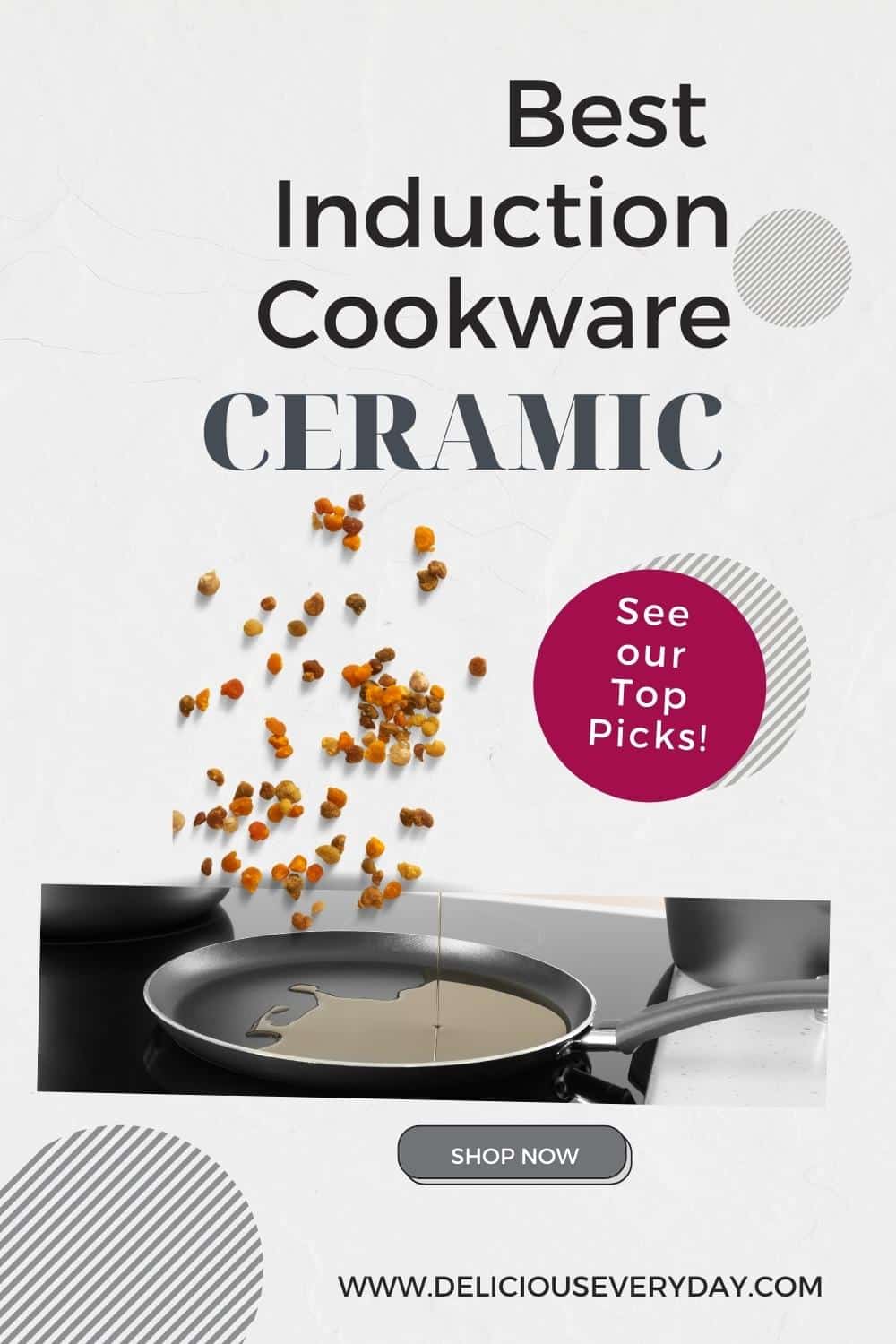 Best Ceramic Induction Cookware - Oh My Veggies